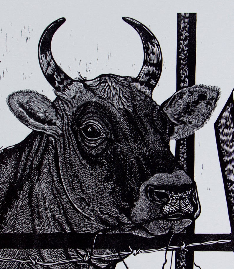 Cow Linocut Print - Etsy