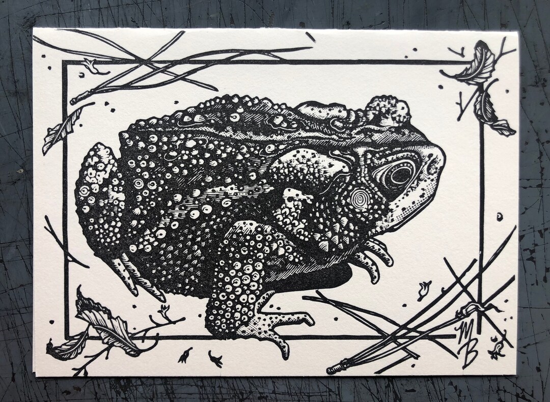 American Toad Card - Etsy