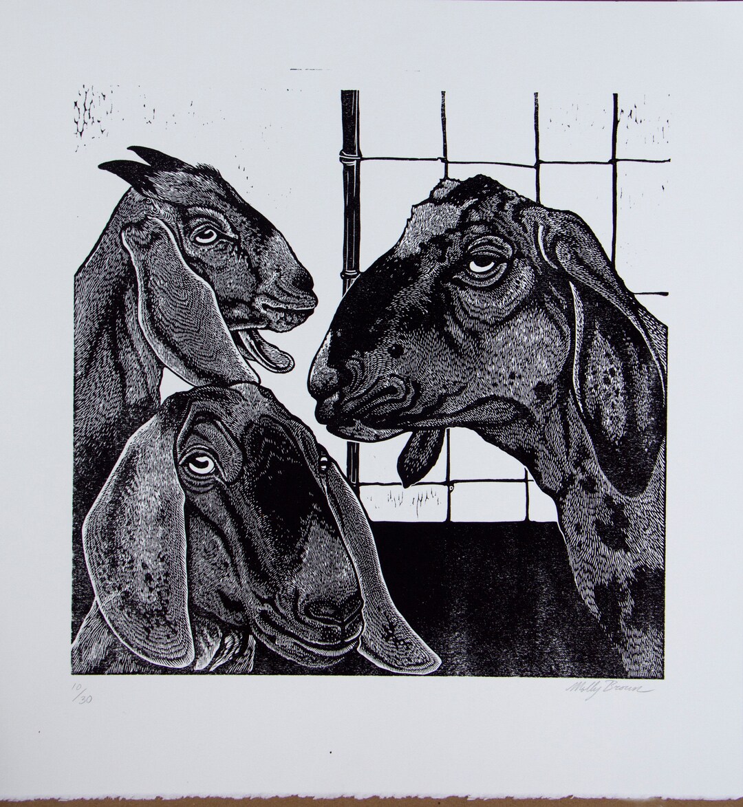 Nubian Goat Linocut Print - Etsy