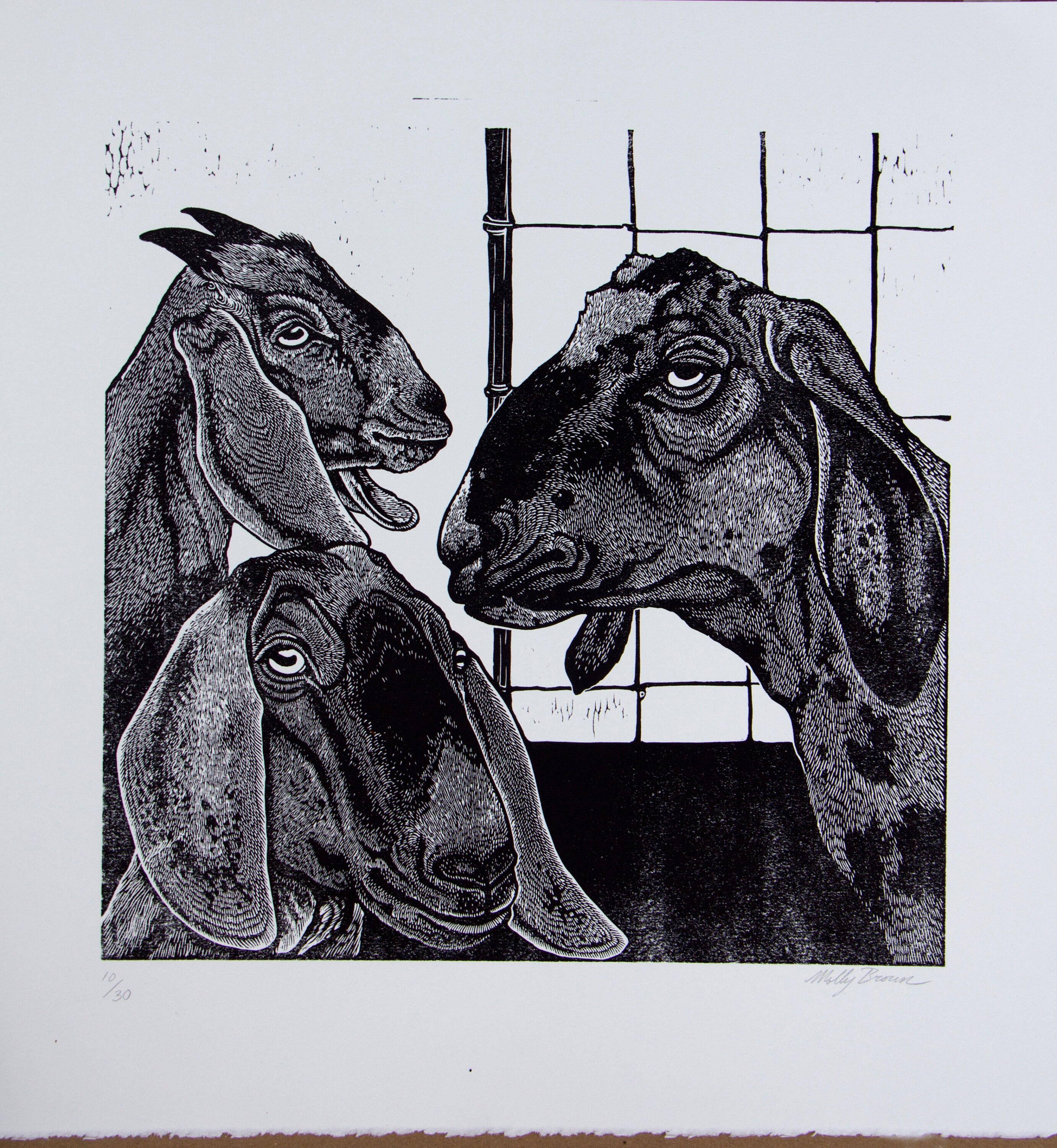 Nubian Goat Linocut Print | Etsy