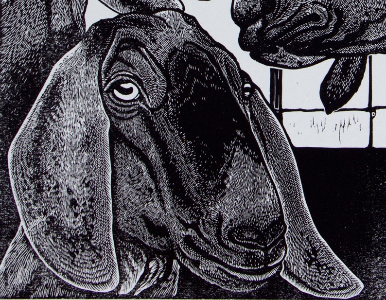 Nubian Goat Linocut Print - Etsy