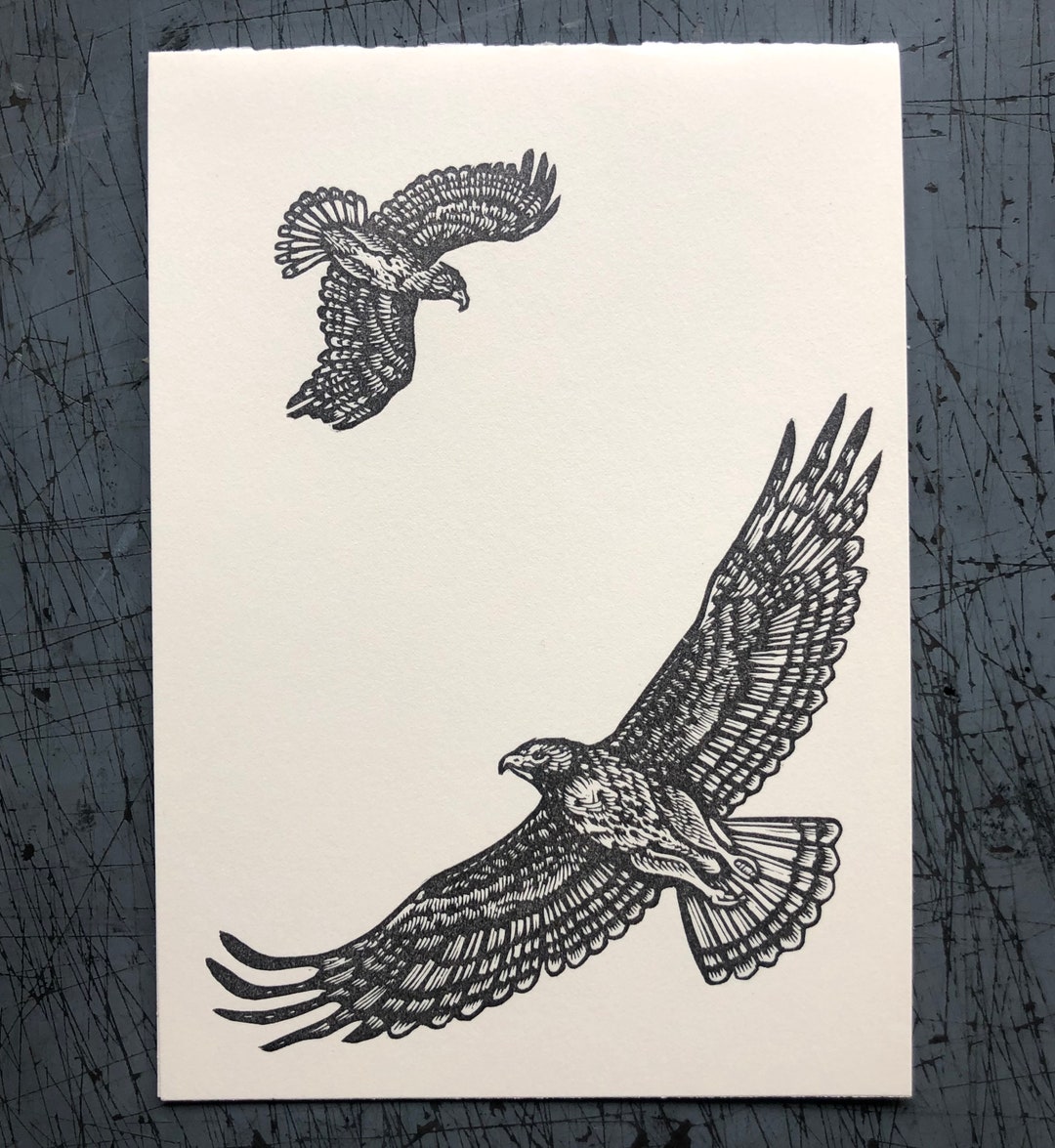 Red Tail Hawk Card - Etsy