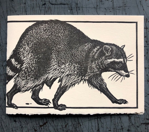 Raccoon With Greek Bowl - Etsy