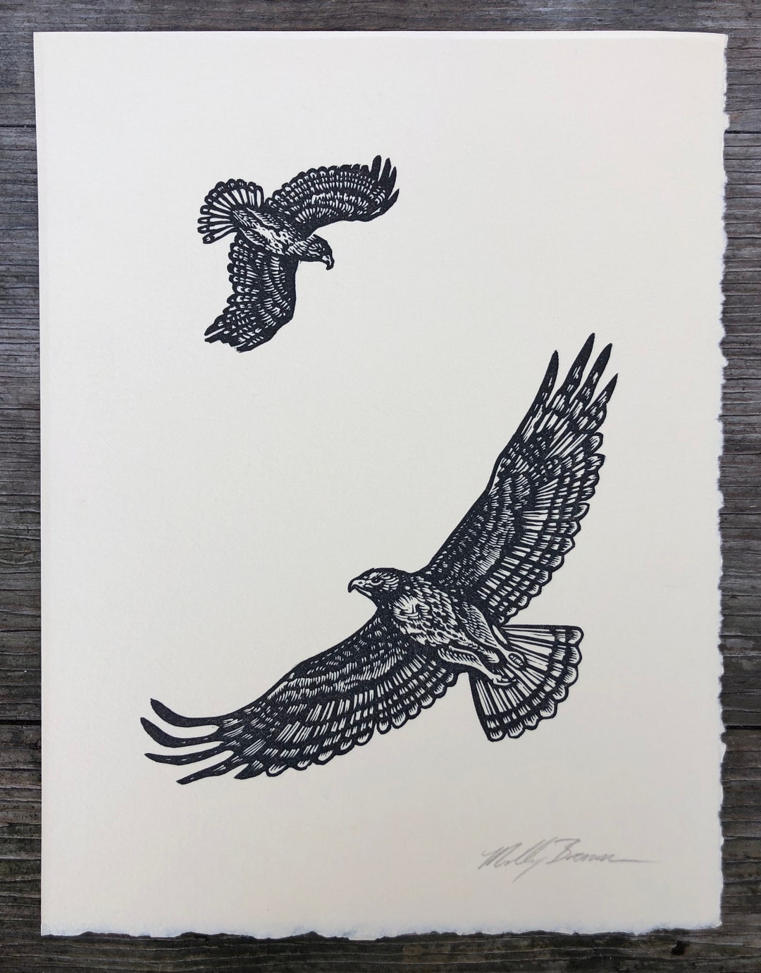 Red Tailed Hawk Print - Etsy