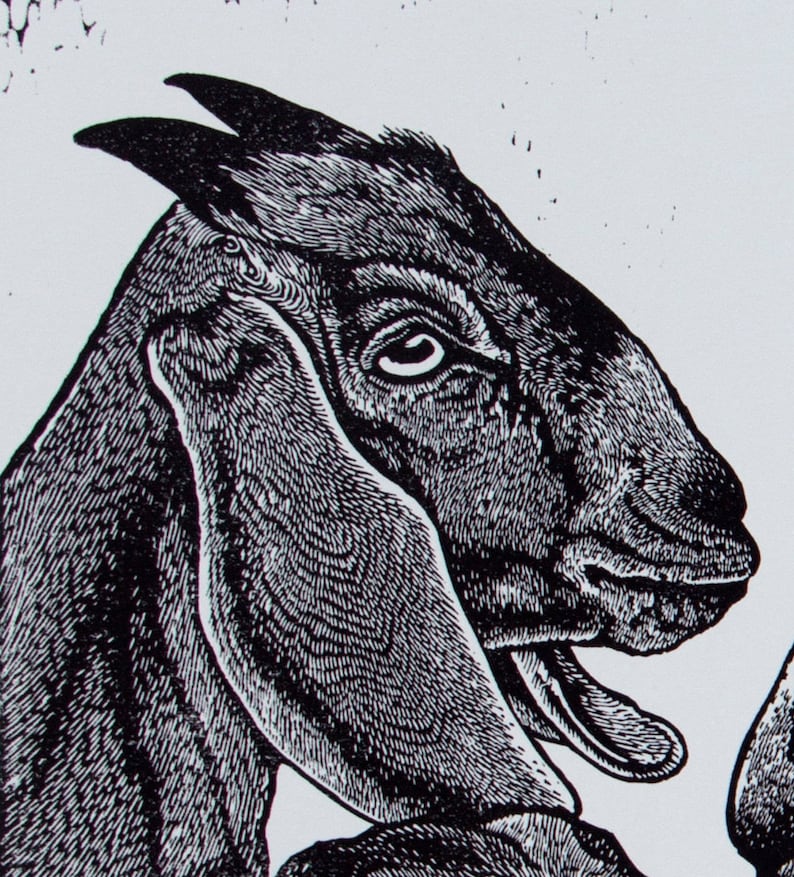 Nubian Goat Linocut Print - Etsy