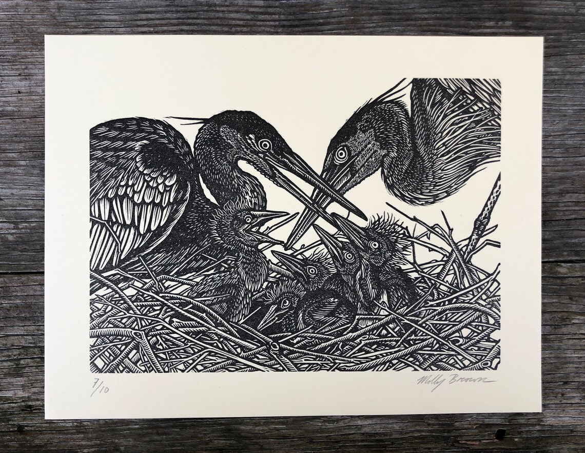 Nesting Great Blue Herons Print - Etsy