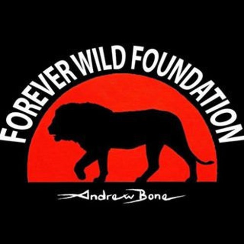 ForeverWildFoundatio - Etsy