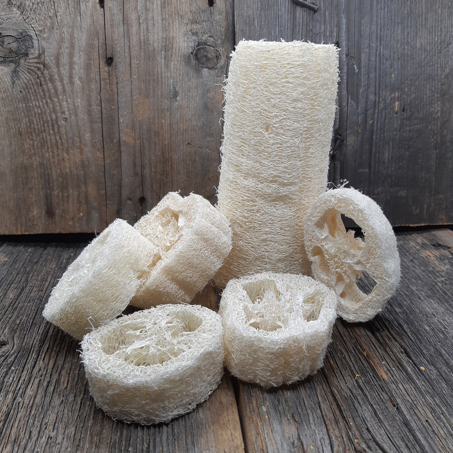 Loofah 1 Inch Slice Loofah 1 Inch Slice - Etsy