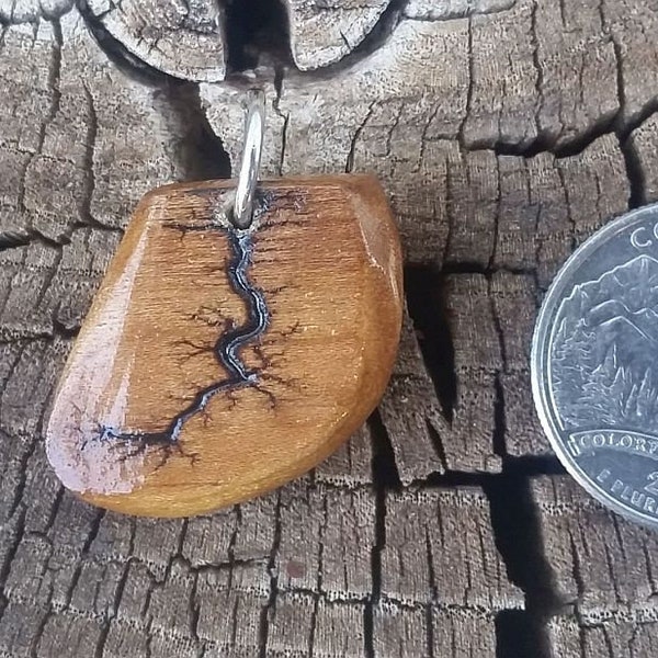 Lichtenberg Pattern - Etsy