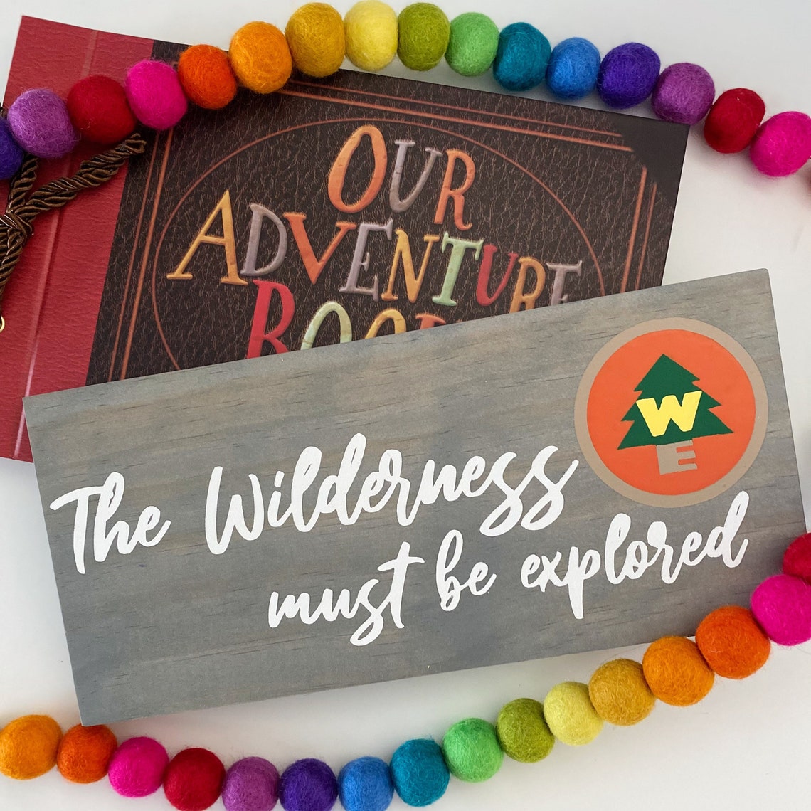 Disney Inspired up Movie Custom Wilderness Explorer - Etsy