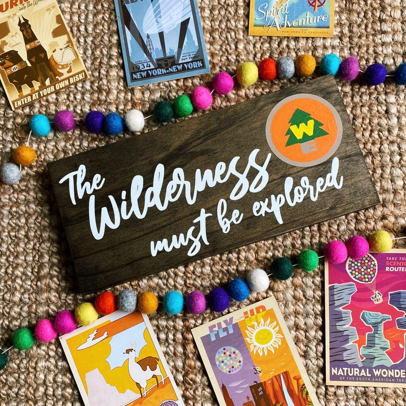 Disney Inspired up Movie Custom Wilderness Explorer - Etsy