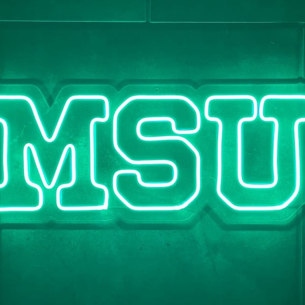 Michigan State Sign - Etsy
