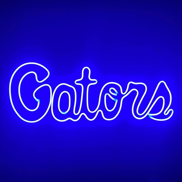 Florida Gator Decor - Etsy