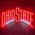 The Ohio State University Buckeyes Script Ohio LED Neon Sign - 18" W X ...