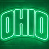 Ohio State University Buckeyes Block Letter O LED Neon Sign - 16" W X ...