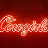 Oklahoma University Sooners OU LED Neon Sign - 15" W X 19" H ...