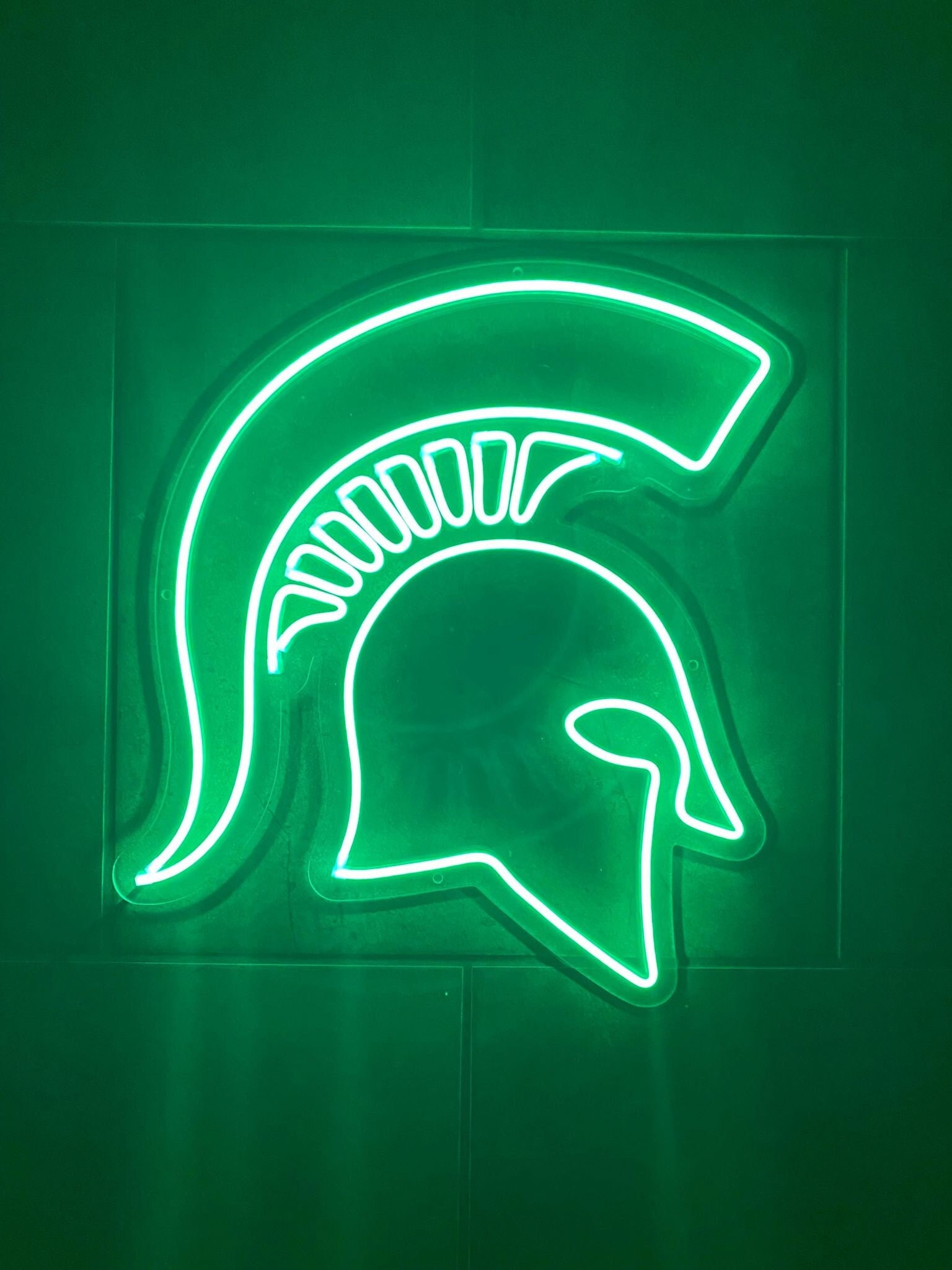 Cool Msu Logo Michigan State Logo Etsy