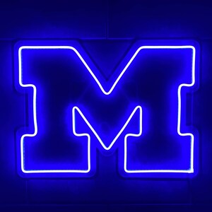 University of Michigan Wolverines LED Neon Sign 22 W X 16.4 H ...
