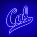 University of California, Berkeley Cal Script LED Neon Sign - 19" W X ...