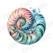 Nautilus Shell Png/clipart - Etsy