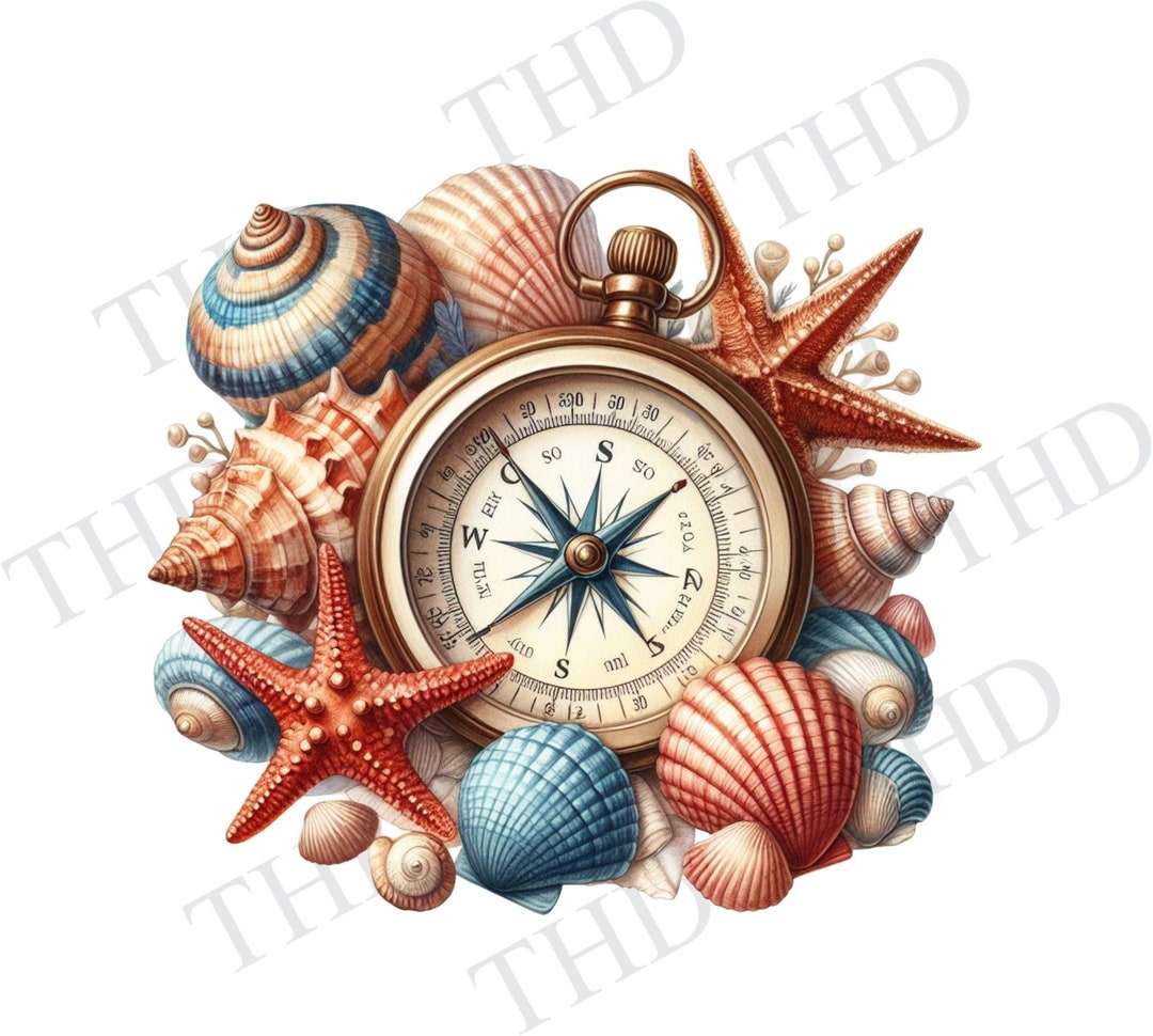Nautical Compass and Sea Shells, Nautical, Beach, PNG, Clipart for Sublimation/heat Press - Etsy
