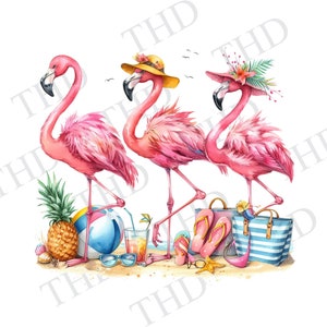 Beach Flamingo Friends Png/clipart - Etsy