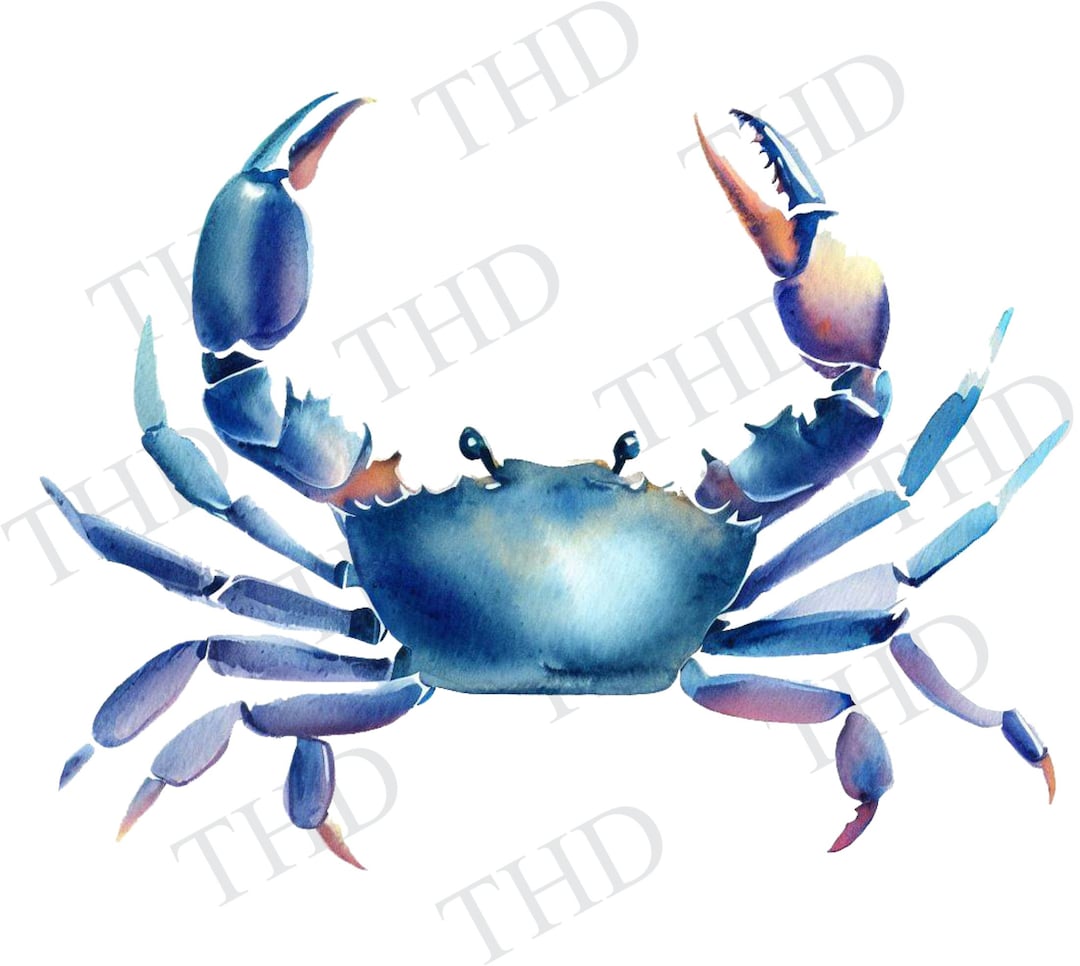 Blue Crab Watercolor Png/clipart - Etsy