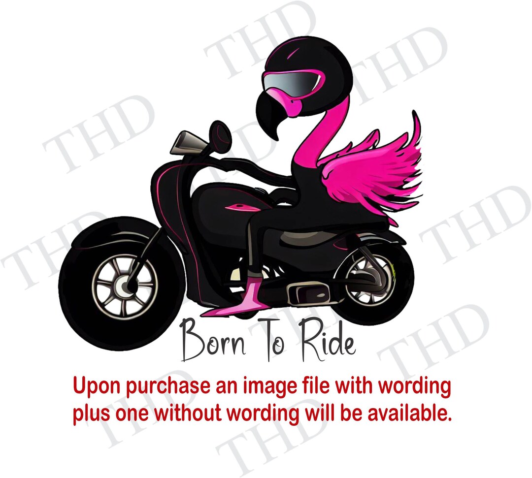 Motorcycle Riding Flamingo Clipart/ Born to Ride/png Image - Etsy