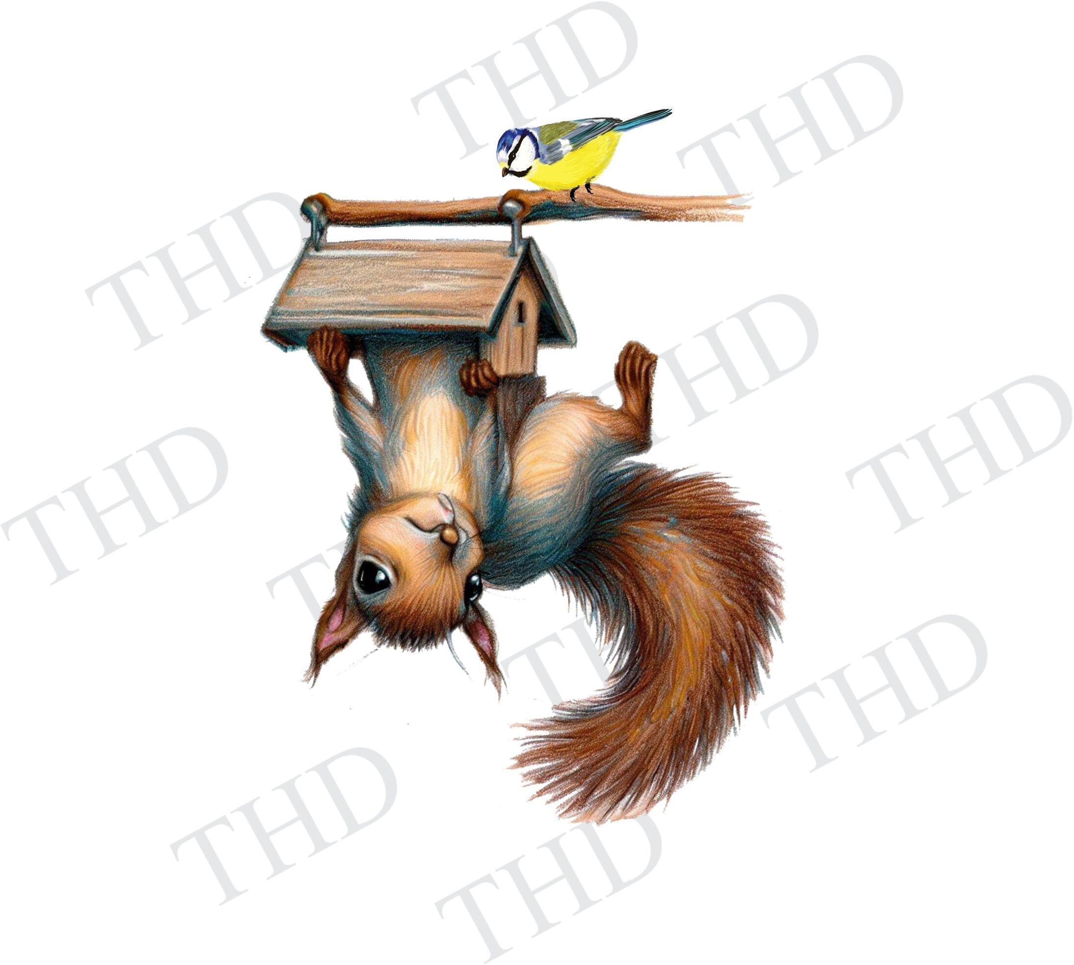 Squirrel on Bird Feeder Clipart/ PNG Image - Etsy