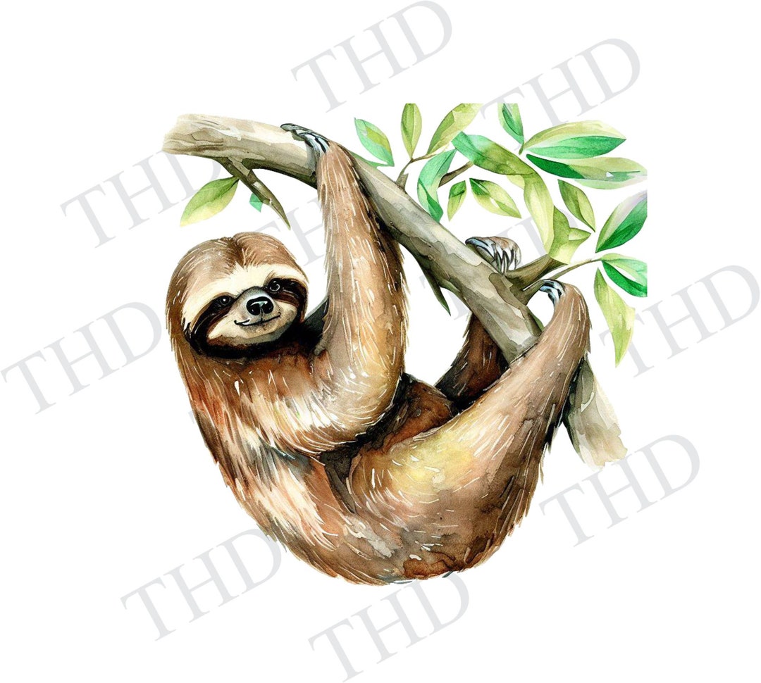 Sloth Clipart / PNG Image - Etsy