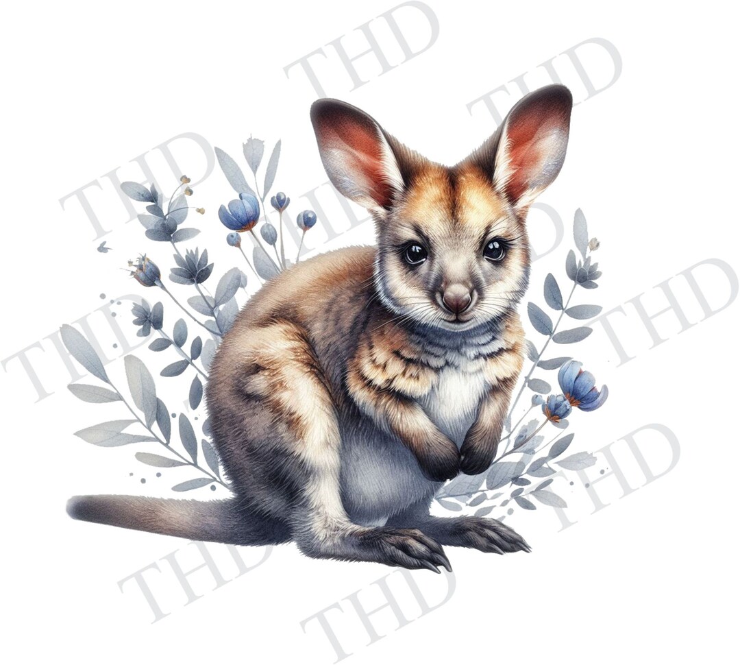 Wallaby Png/clipart - Etsy