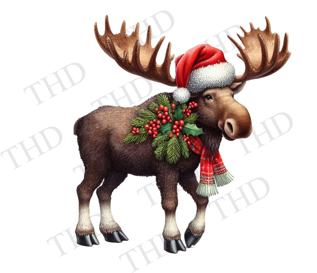 Christmas Moose, Holidays, Christmas PNG, Clipart for Sublimation/heat ...