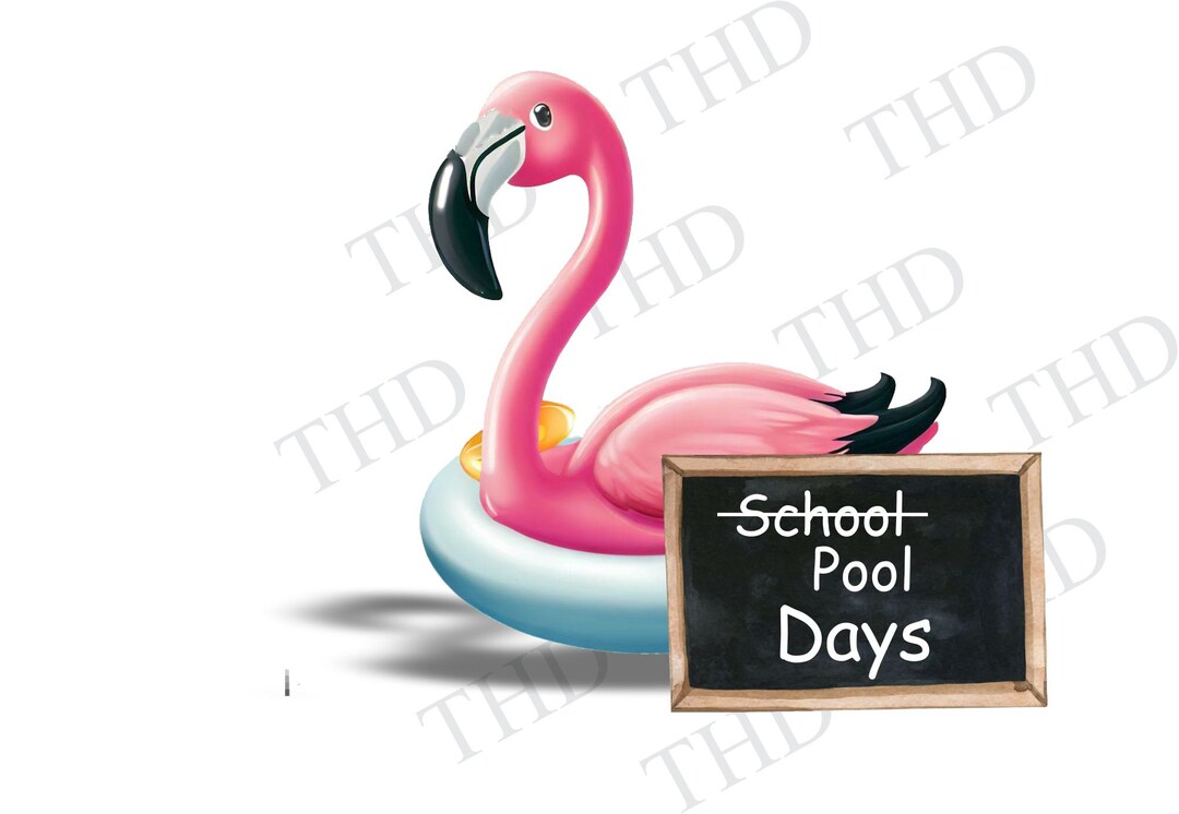 School Days, Flamingo Clipart / PNG Image - Etsy