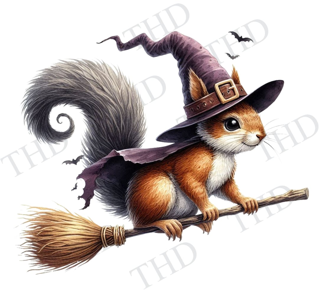 Halloween Flying Squirrel Witch, Halloween Clipart, Halloween Decor JPG ...