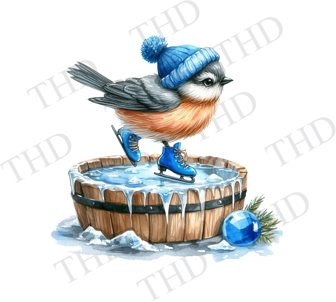 Winter Bird Ice Skating Downloadable Image, Jpg/png/clipart - Etsy