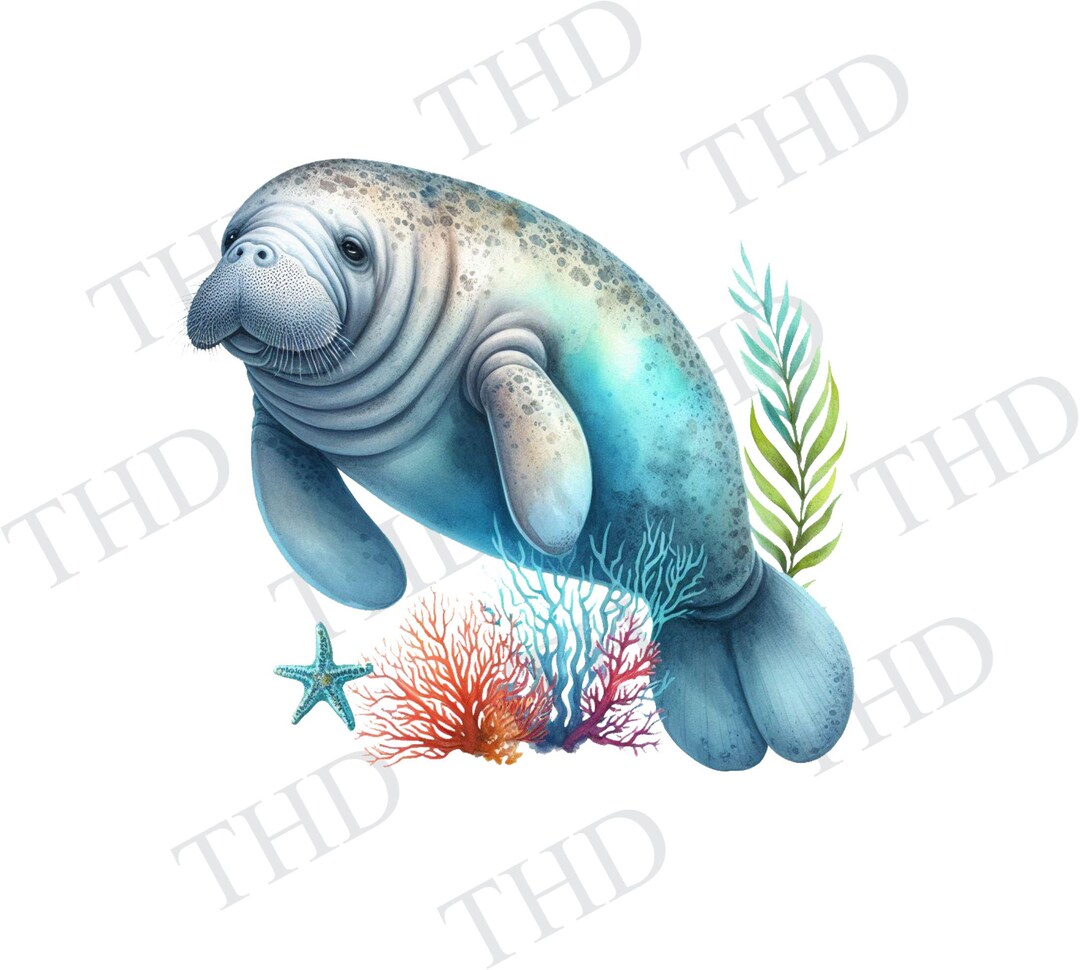 Sea Manatee Downloadable Image, Png/clipart - Etsy
