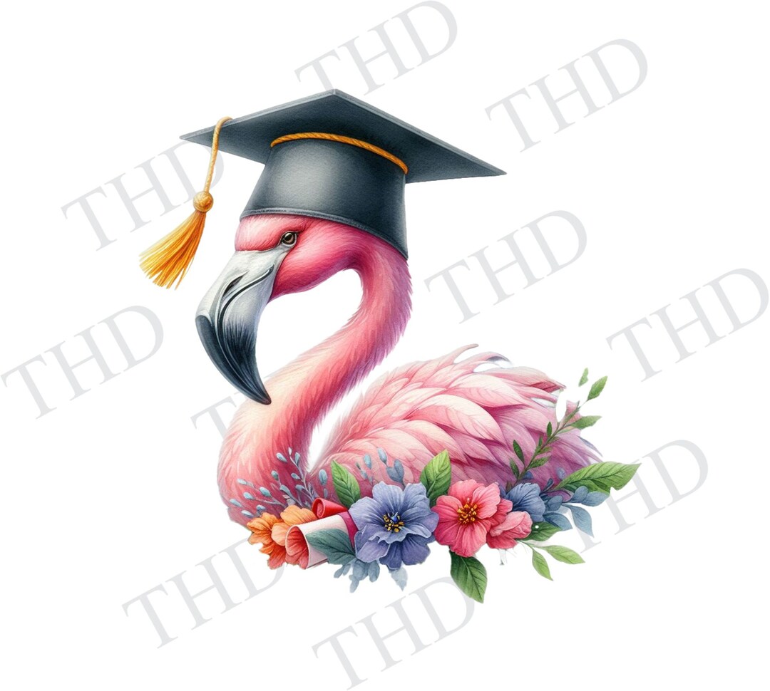 Graduation Flamingo Clipart / PNG Image - Etsy