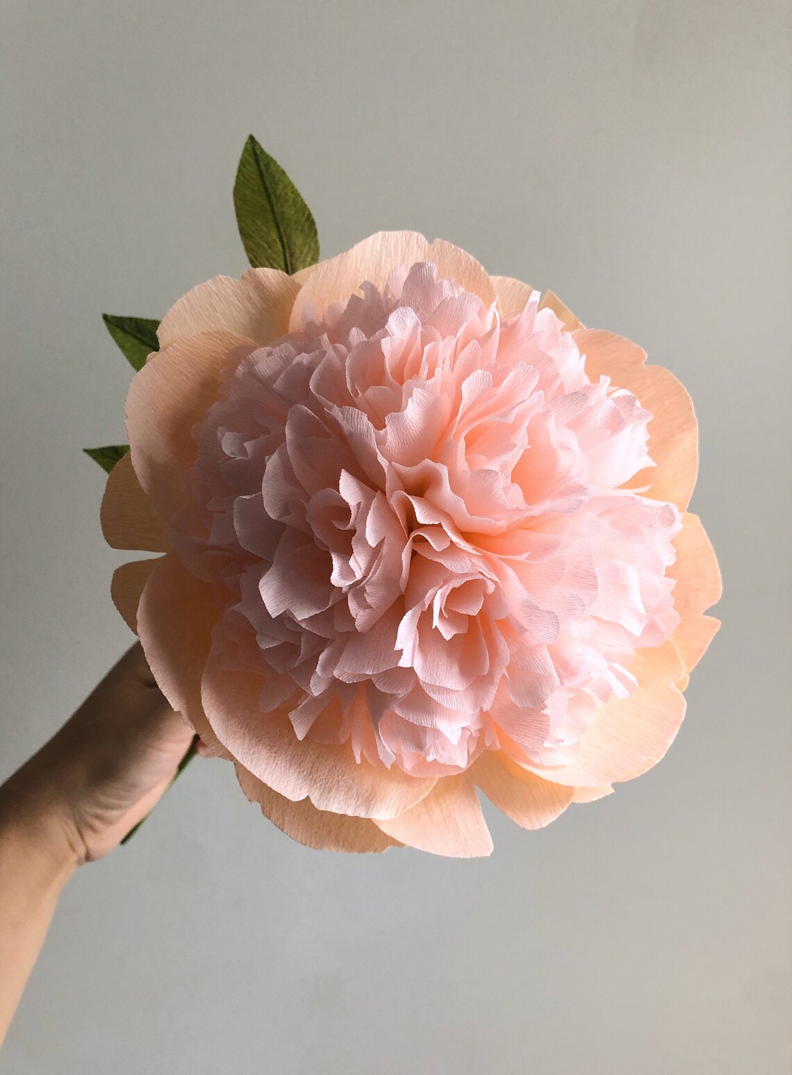 Crepe Paper Bomb Peony Paper Flowers for Home Decor or - Etsy