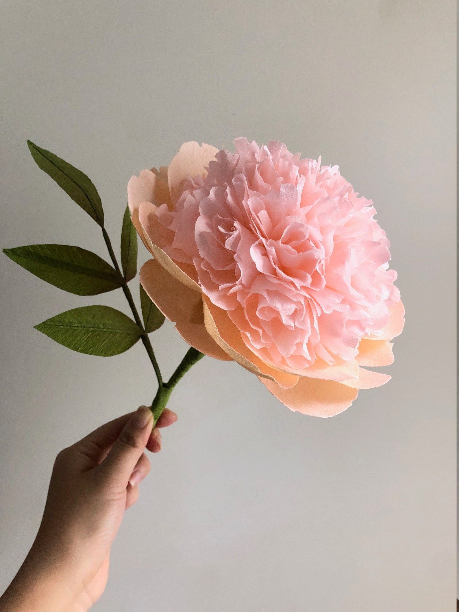 Crepe Paper Bomb Peony Paper Flowers for Home Decor or - Etsy