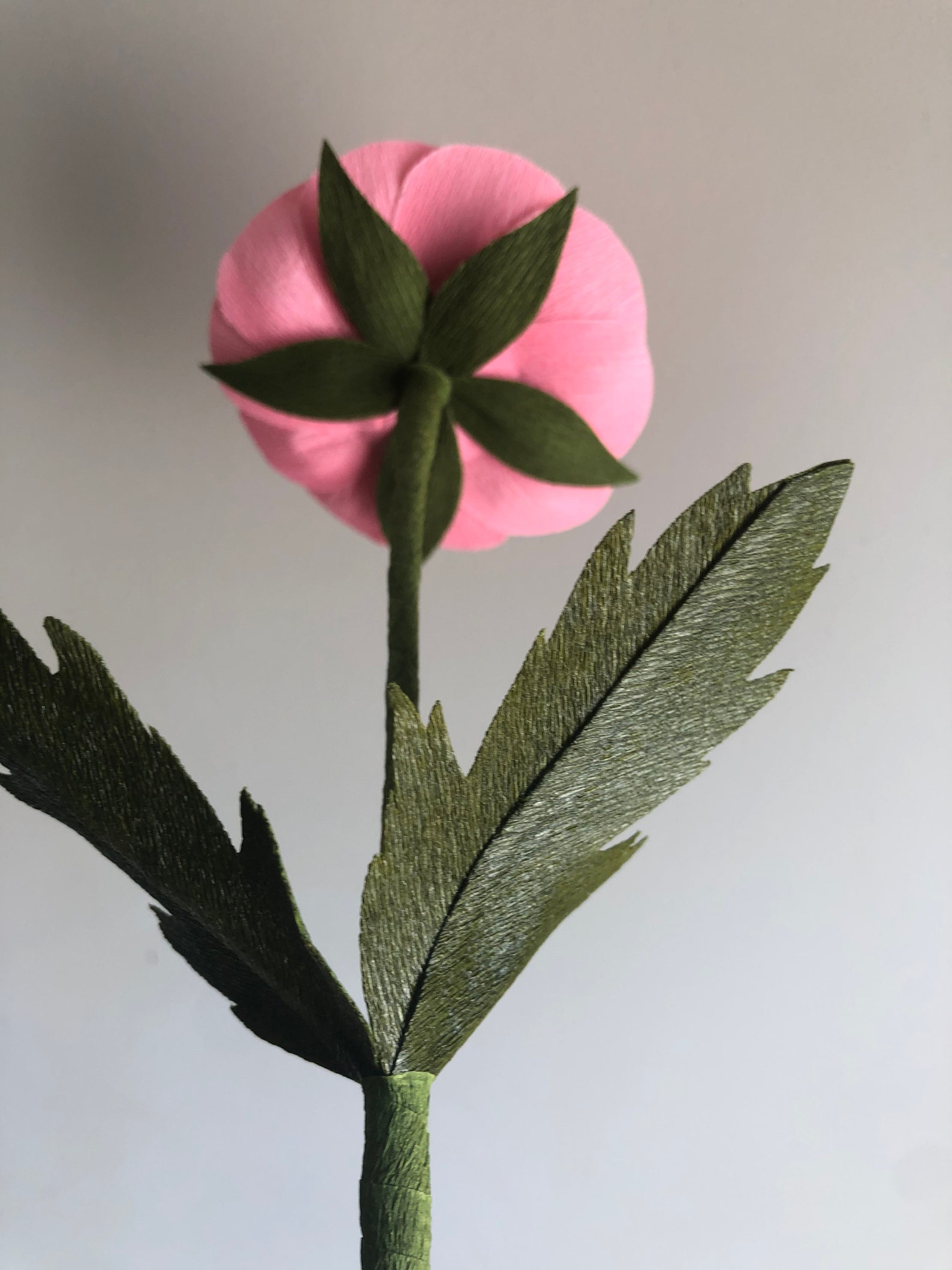 Crepe Paper Ranunculus Paper Flowers for Home Decor or - Etsy