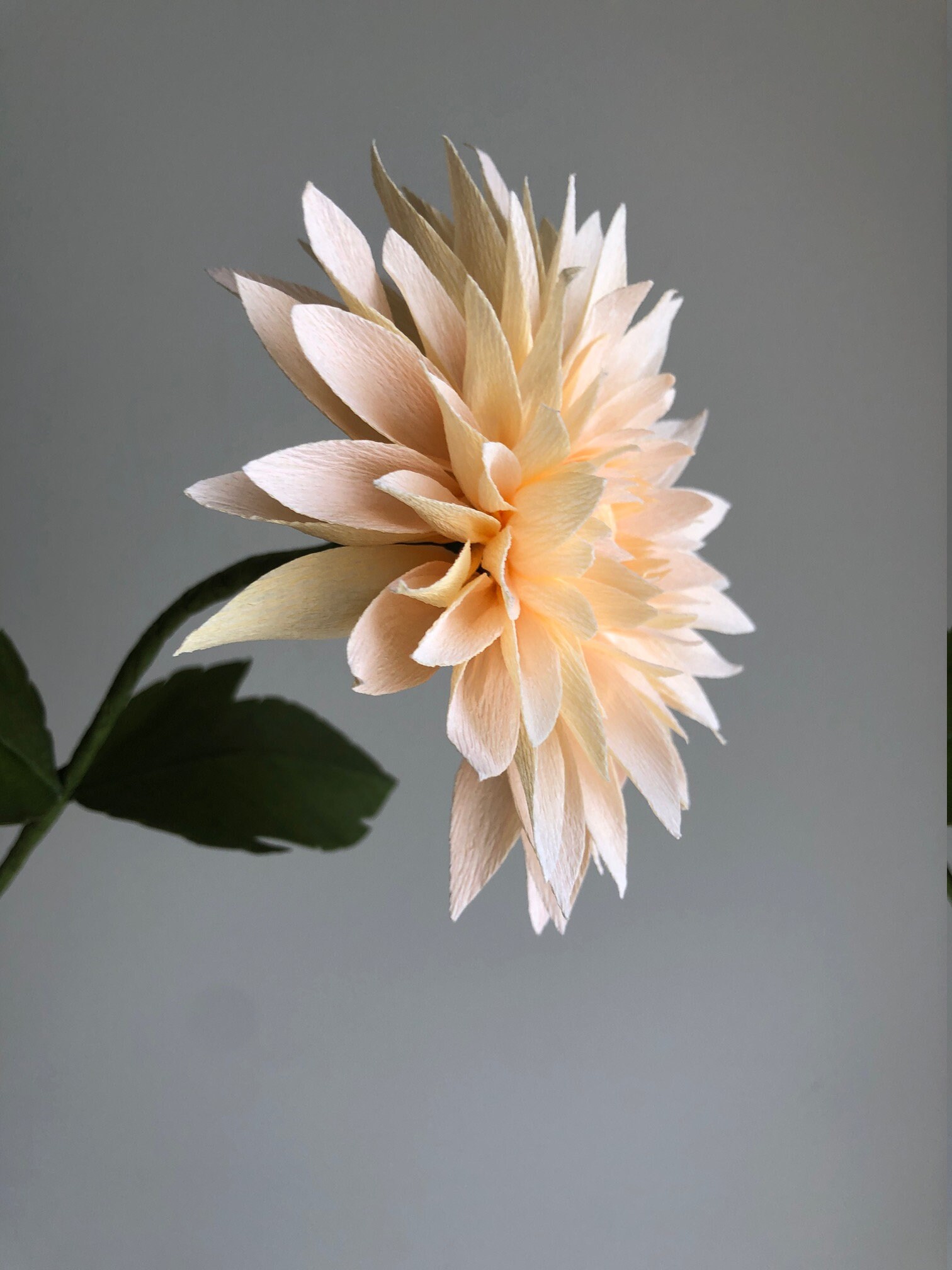 Crepe Paper Dahlia Paper Flowers for Weddings Home Decor - Etsy