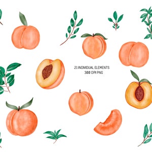Watercolor Peach Clipart, Peaches Clipart, Greenery Clipart, Peach ...