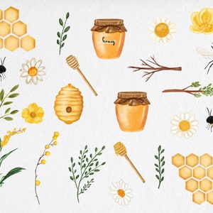 Watercolor Bee Clipart, Watercolor Honey Clipart, Honey Bee Clipart ...