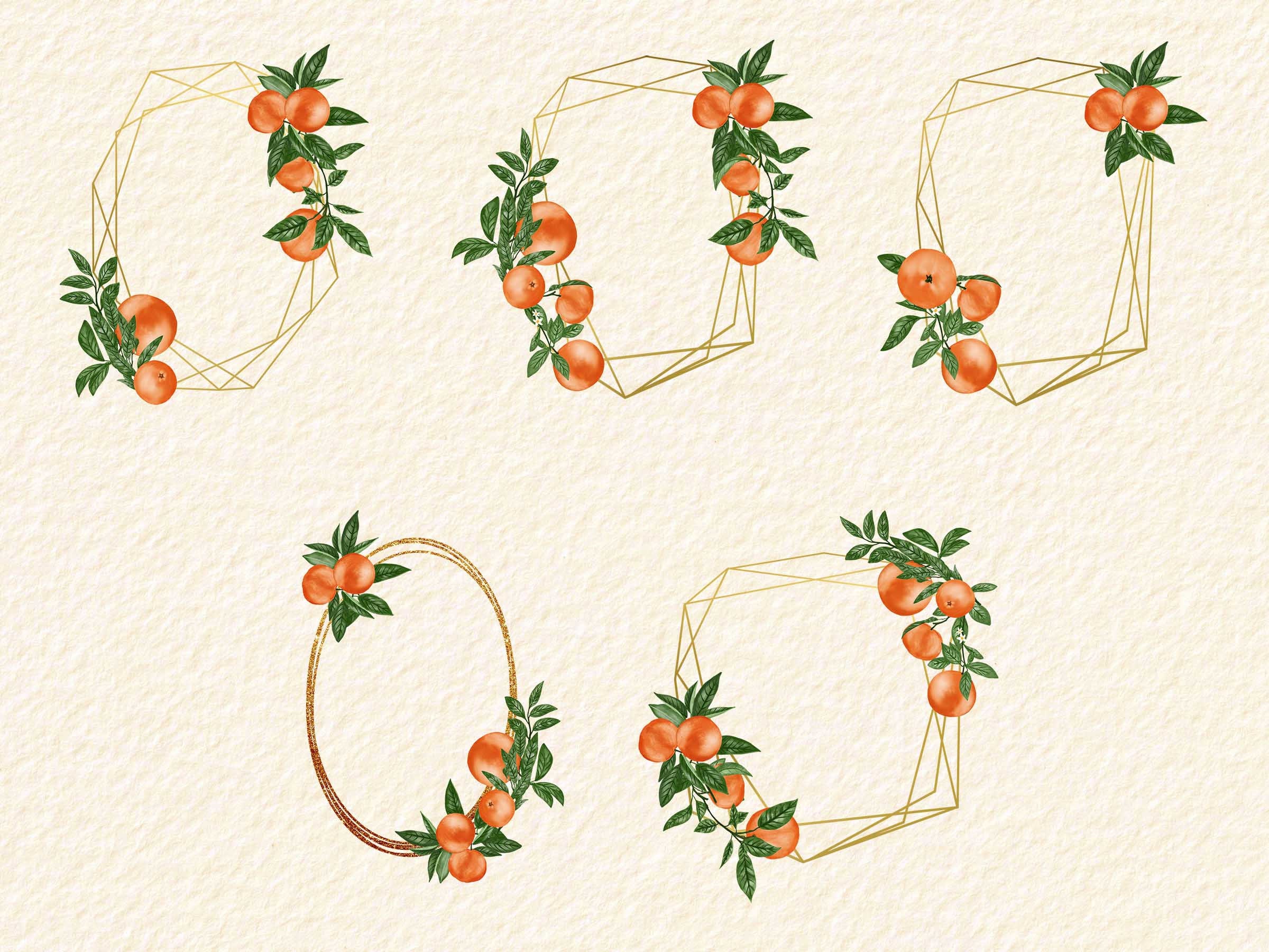 Orange Watercolor Clipart Orange Summer Clipart Citrus Fruit - Etsy