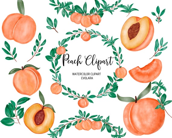 Watercolor Peach Clipart Peaches Clipart Greenery Clipart - Etsy
