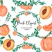 Watercolor Peach Clipart, Peaches Clipart, Greenery Clipart, Peach ...