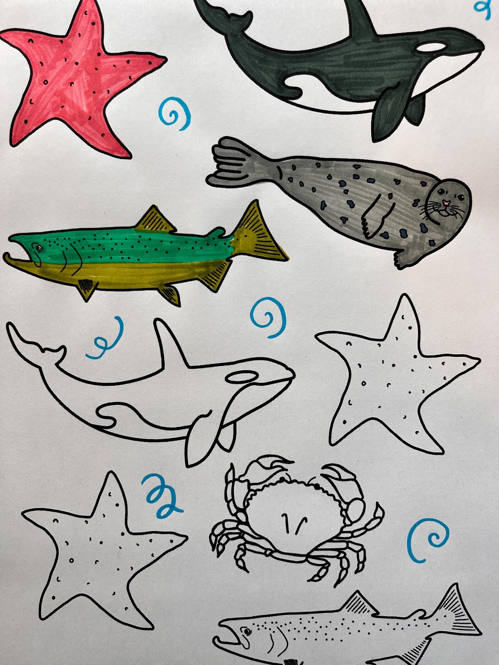 Printable Pacific Northwest Sea Creatures Coloring Page - Etsy