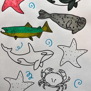 Printable Pacific Northwest Sea Creatures Coloring Page - Etsy