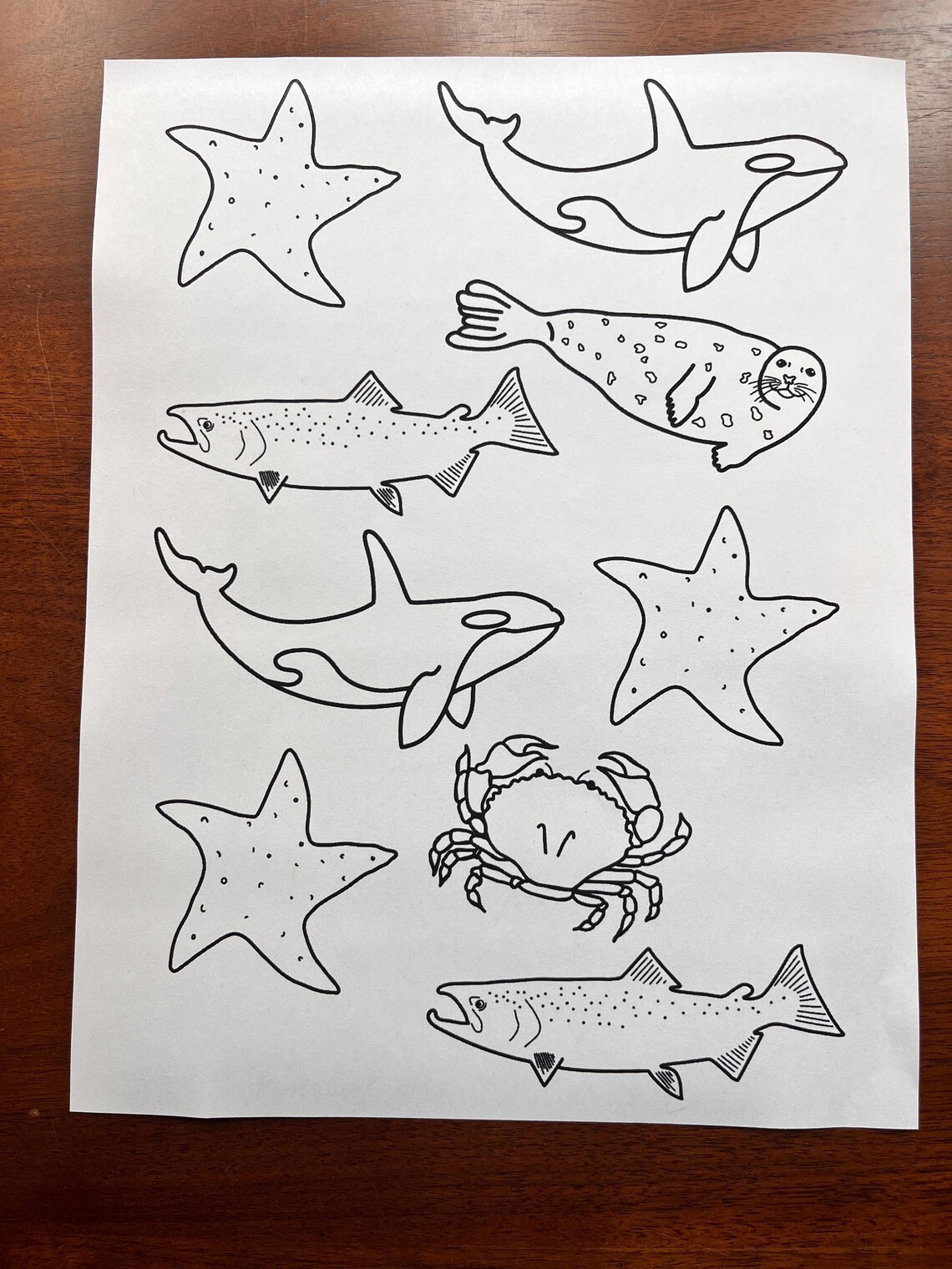 Printable Pacific Northwest Sea Creatures Coloring Page - Etsy