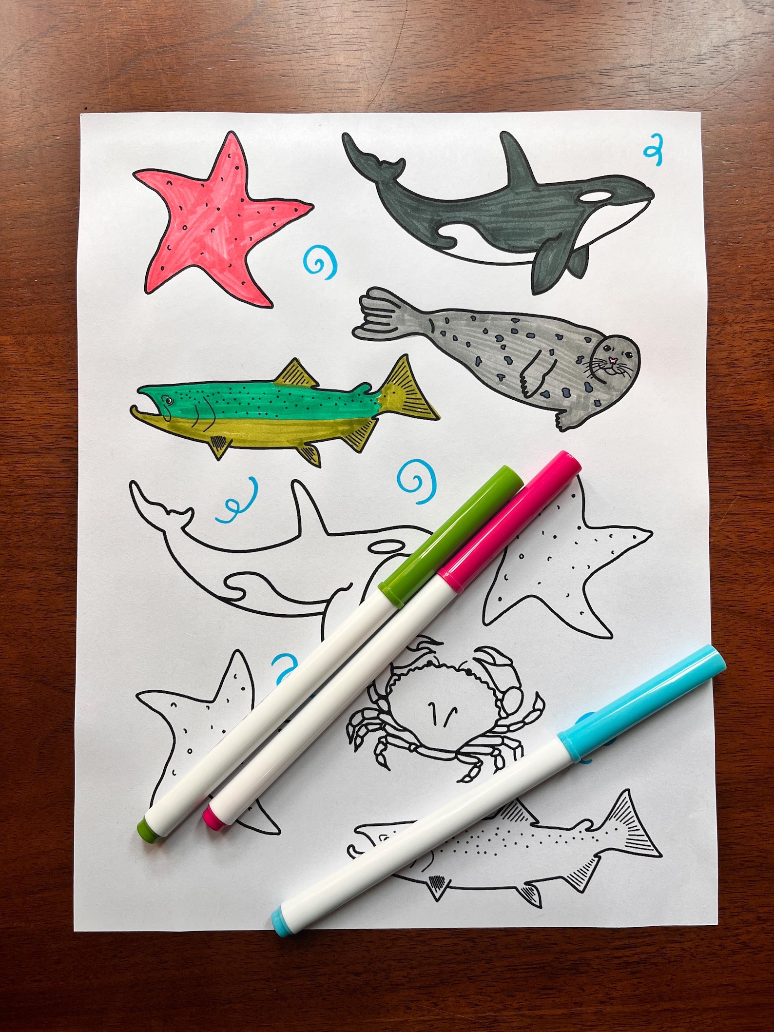 Printable Pacific Northwest Sea Creatures Coloring Page - Etsy